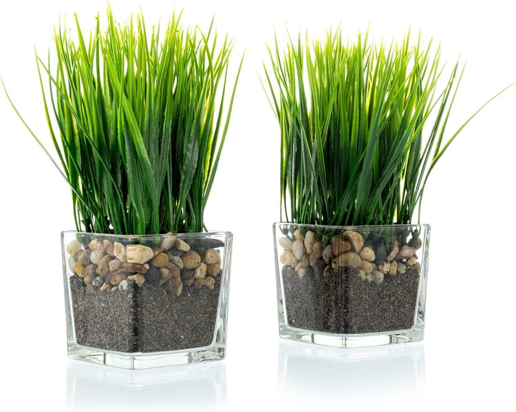 Artificial Grass Plants in Square Clear Glass Pots with Faux Pebbles a ...