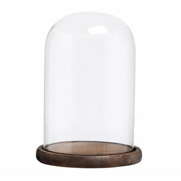 Clear Glass Cloche Bell Jar Display Case – MyGift