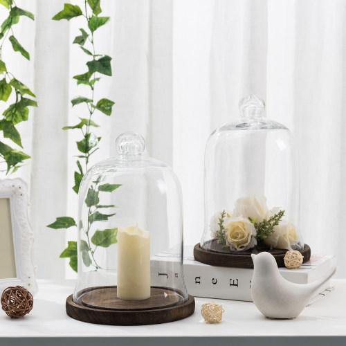 Clear Glass Cloche Display with Brown Wood Base, Set of 2 – MyGift