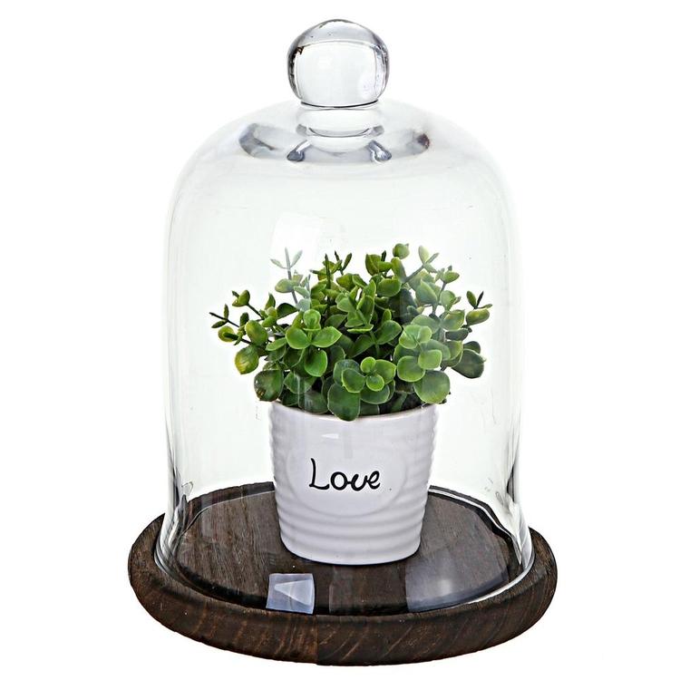 Round Glass Cloche Dome Display Case – MyGift