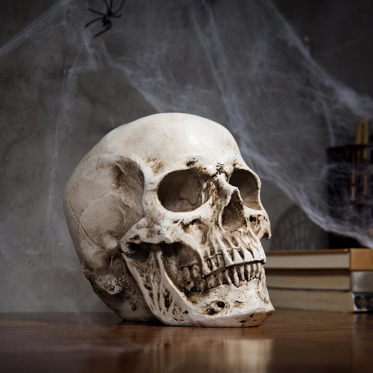 Spooky Decorative Realistic Human Skull – MyGift